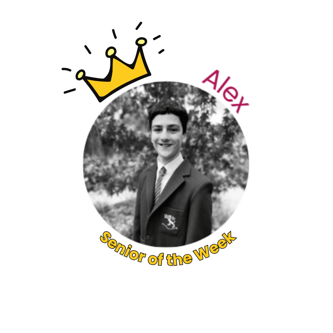 Newsletter Friday 19th September 2025 - Edge Grove School | Independent ...